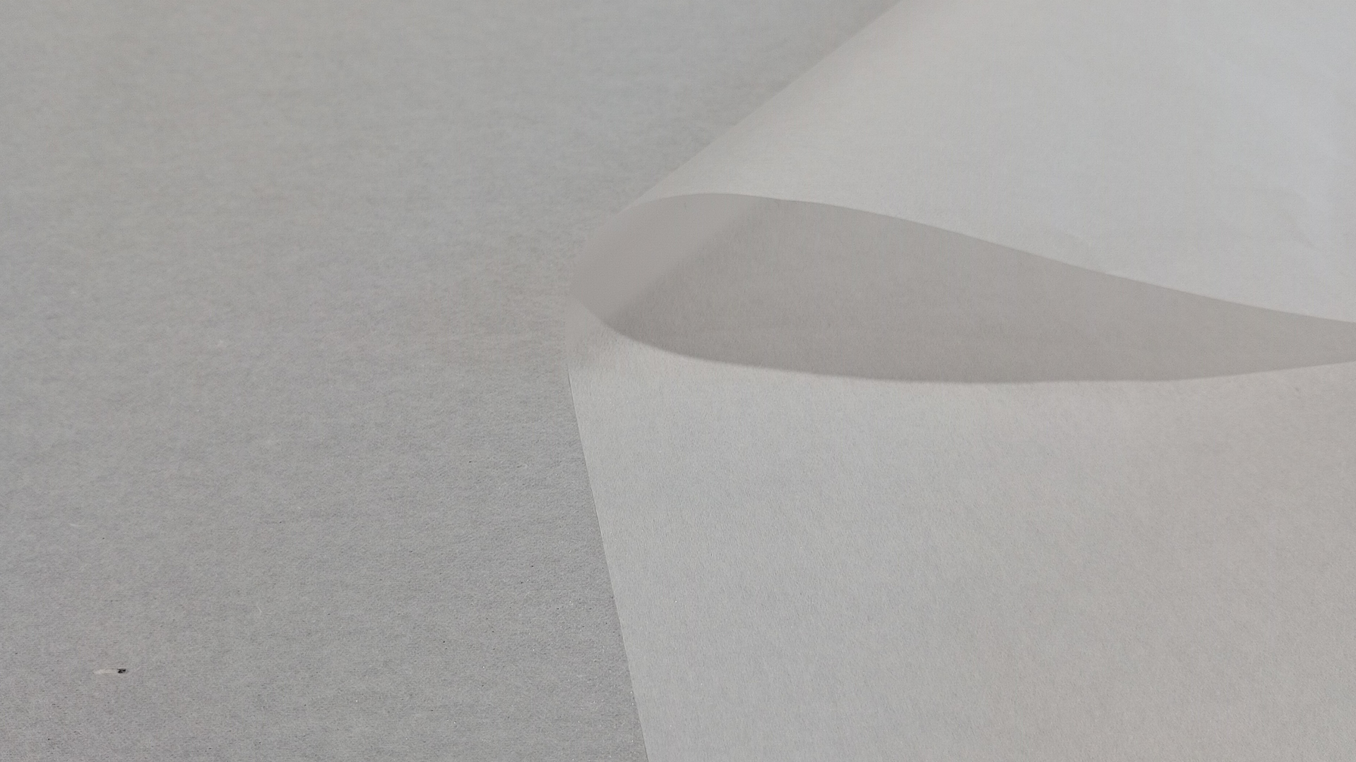 Asuka Tissue White – MicronWings